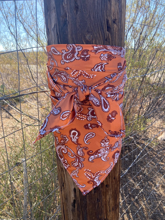 Wildrags – The Roan Vaca